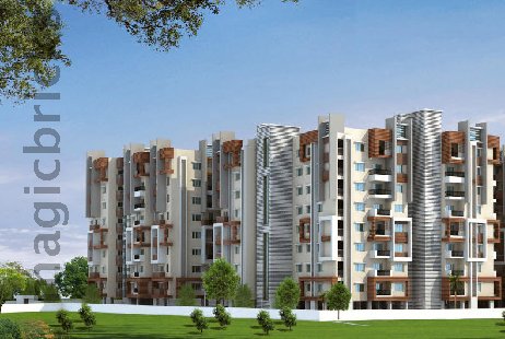Flats for Rent in AECS Layout-Singasandra, Bangalore