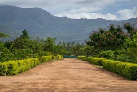 Aspen Green Garden Phase III in Thondamuthur, Coimbatore: Price ...