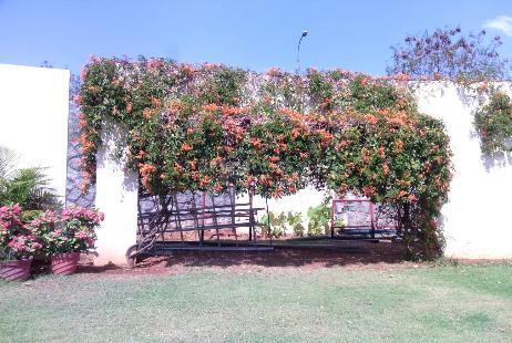 IVR Hill Ridge Villas in Gachibowli, Hyderabad: Price, Brochure, Floor ...