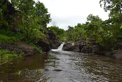 Peacock Valley in Shirwal, Pune: Price, Brochure, Floor Plan, Reviews