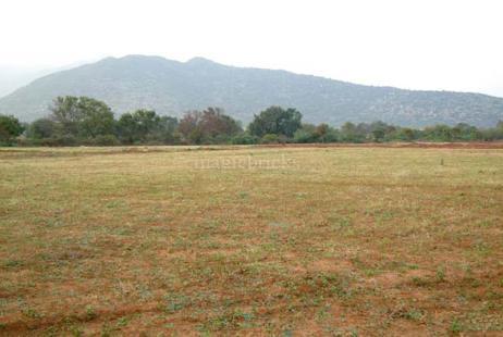 Solarism in Dahej, Bharuch: Price, Brochure, Floor Plan, Reviews