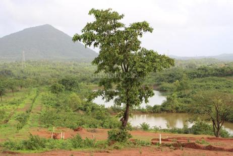 Yog City Phase 1 in Dodamarg, Sindhudurg: Price, Brochure, Floor Plan ...