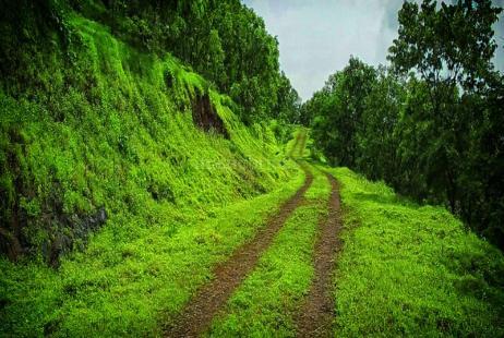 LA Colina Hill View in Pirangut, Pune: Price, Brochure, Floor Plan, Reviews