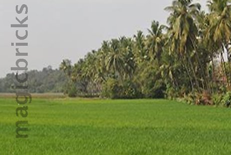 Riviera Gardenia in Revora, Goa: Price, Brochure, Floor Plan, Reviews