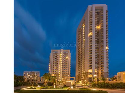DLF Garden City The Primus Resale Price, Flats & Properties for sale in ...