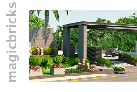 Salarpuria Sattva Pipal Tree Price, Plot/Land & Properties for sale in ...