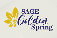 Sage Golden Spring in Ayodhya Bypass, Bhopal: Price, Brochure, Floor ...