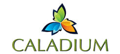 SBTL Caladium in Sector 109, Gurgaon: Price, Brochure, Floor Plan, Reviews