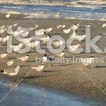 Anand Parbat, New Delhi: Map, Property Rates, Projects, Photos, Reviews ...