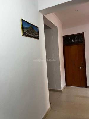 AVS Boys Opposite BBD University PG/Hostels in Chinhat,Lucknow