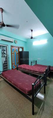 12 PG & Paying Guest near SRM Institute of Science and Technology