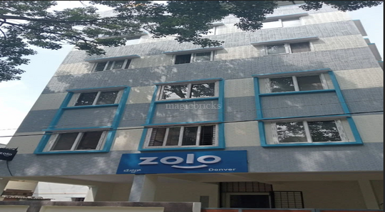 Best Luxury PG in Shankanipura, Bangalore: Luxury PG for Girls/Boys in ...