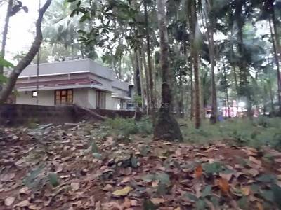 House for Sale near Thalakulathur, Kozhikode : Independent House for ...