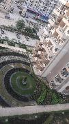 Royal Nest in Noida Extension, Noida: Price, Brochure, Floor Plan, Reviews