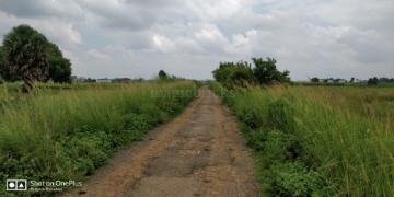 Phulwari Sharif, Patna: Map, Property Rates, Projects, Photos, Reviews ...