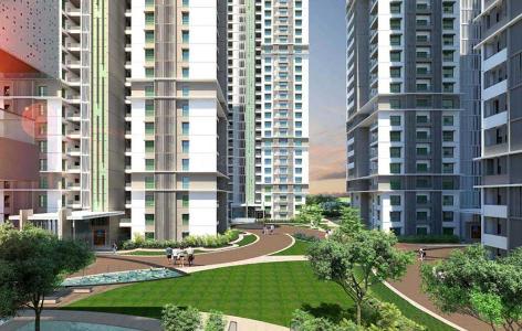 Phoenix Lithop in Jubilee Hills, Hyderabad | Phoenix Lithop Price ...