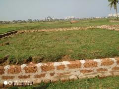 Z Estates Z1 in Patia, Bhubaneswar: Price, Brochure, Floor Plan, Reviews