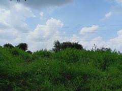 Kothur, Hyderabad: Map, Property Rates, Projects, Photos, Reviews, Info