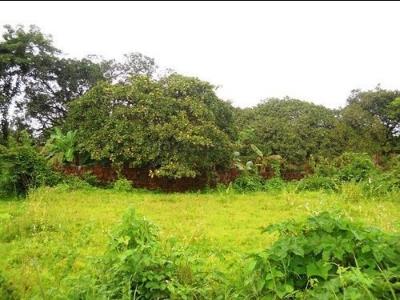 Plots for Sale in Ponda, Goa: 17+ Residential Land / Plots in Ponda