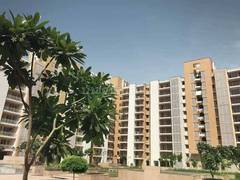 Puri Pratham in Sector 84 Faridabad | Puri Pratham Price @ Rs 34 Lac ...