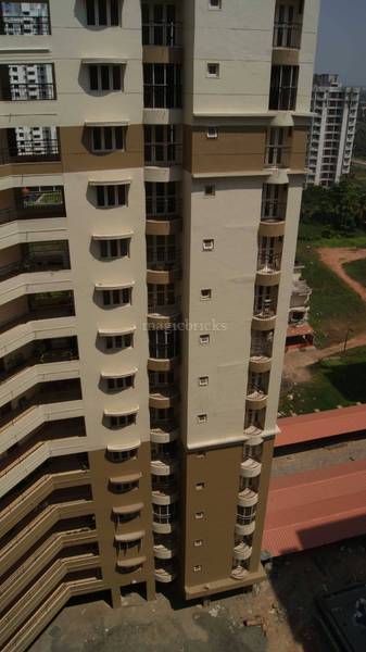 DD Platinum Planet in Thammanam, Ernakulam: Price, Brochure, Floor Plan, Reviews