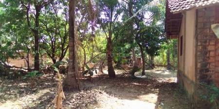 Farm House near Wayangani, Vengurla: Farm House for Sale near Wayangani