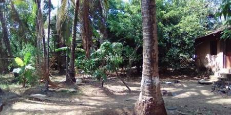 Flats near Wayangani, Vengurla - Apartments by BHK / Budget