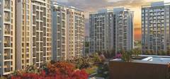 32 Pinewood Drive in Hinjewadi, Pune: Price, Brochure, Floor Plan, Reviews