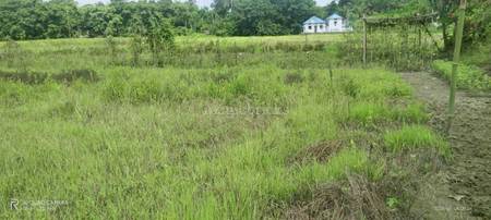 8 Bigha Residential Plot & Land for Sale in Hajo,Guwahati | Posted by Owner