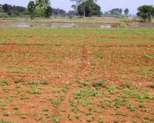 Naidupeta, Nellore: Map, Property Rates, Projects, Photos, Reviews, Info