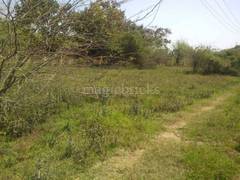 Padianallur, Chennai: Map, Property Rates, Projects, Photos, Reviews, Info