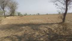 Chaksu, Jaipur: Map, Property Rates, Projects, Photos, Reviews, Info