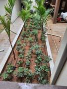 Iconest3 in Kachanayakanahalli, Bangalore: Price, Brochure, Floor Plan ...