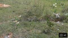 ISRO Layout, Bangalore: Map, Property Rates, Projects, Photos, Reviews ...