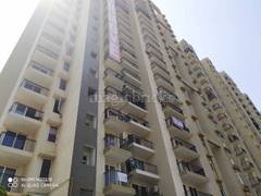 Pigeon Spring Meadows in Noida Extension, Noida: Price, Brochure, Floor ...