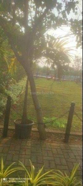 Salarpuria Sattva Pipal Tree in Magadi Main Road, Bangalore: Price ...