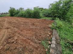 Kot Bhalwal, Jammu: Map, Property Rates, Projects, Photos, Reviews, Info