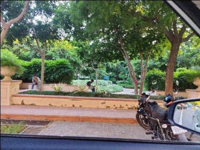 DLF Moulsari Enclave in DLF Phase 3, Gurgaon: Price, Brochure, Floor ...