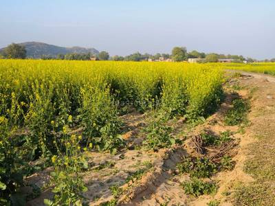 Agricultural Land in Alwar: 19+ Farm / Agriculture Land for Sale in Alwar