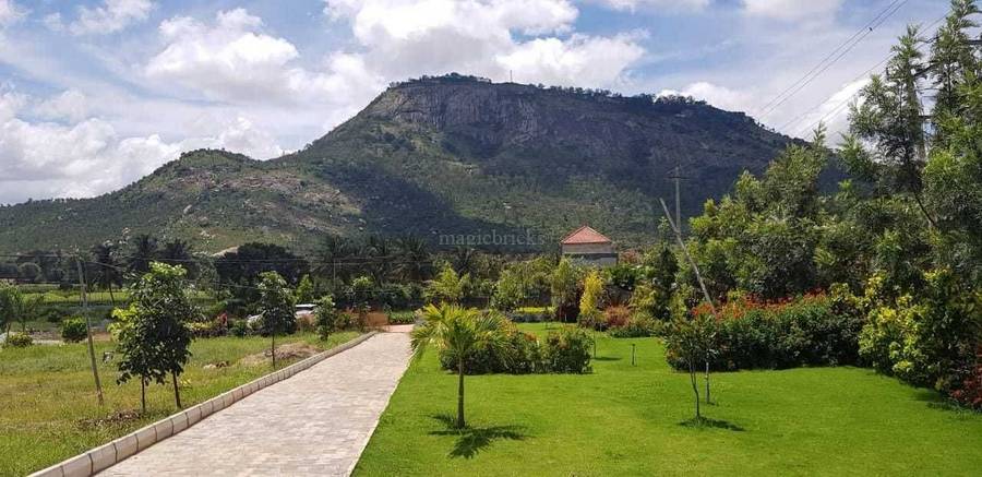 Nandi Magnolia in Nandi Hills, Bangalore: Price, Brochure, Floor Plan ...