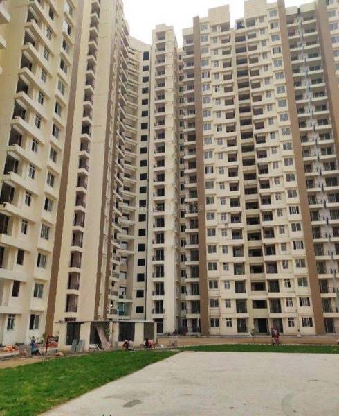 Amrapali Golf Homes in Noida Extension, Greater Noida: Price, Brochure ...
