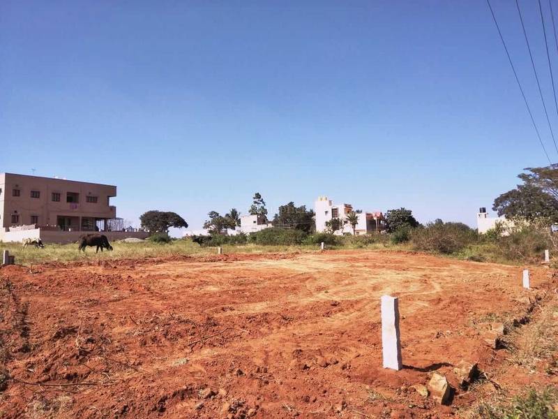 Royal Town Plot in Mathigiri, Hosur: Price, Brochure, Floor Plan, Reviews