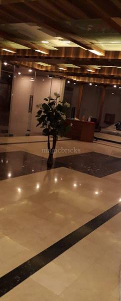 Shaad Residency in Byculla, Mumbai: Price, Brochure, Floor Plan, Reviews