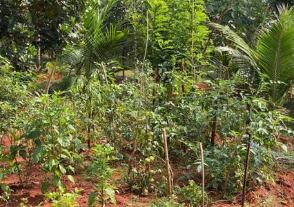 Plots for Sale in Edappal, Malappuram: 2+ Residential Land / Plots in ...