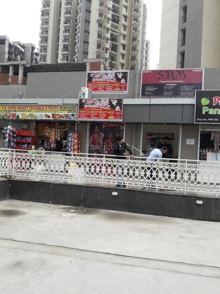 Pigeon Spring Meadows in Noida Extension, Noida: Price, Brochure, Floor ...