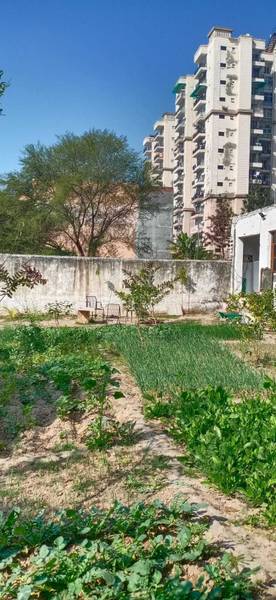 VIP ENCLAVE in VIP Road, Zirakpur: Price, Brochure, Floor Plan, Reviews