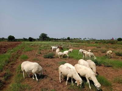 Farm House in Settarahally, Bangalore: 1+ Farm House for Sale in ...