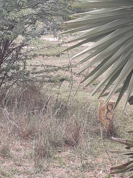 VIP Water Front Phase l in Thiruvallur, Chennai: Price, Brochure, Floor ...