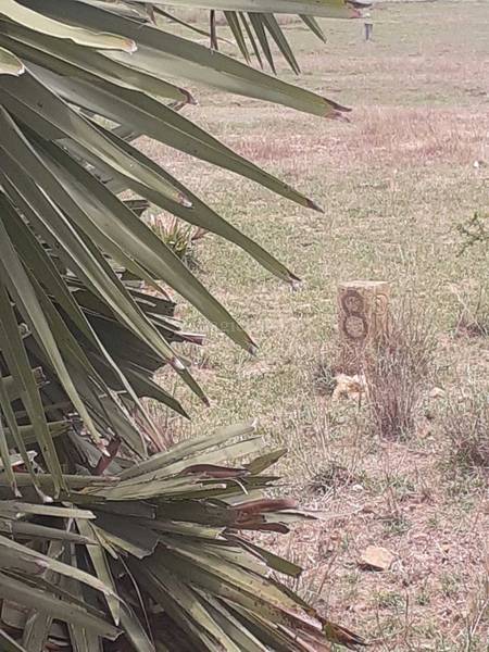 VIP Water Front Phase l in Thiruvallur, Chennai: Price, Brochure, Floor ...