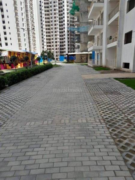 Mascot Patel Neotown in Noida Extension, Noida: Price, Brochure, Floor ...